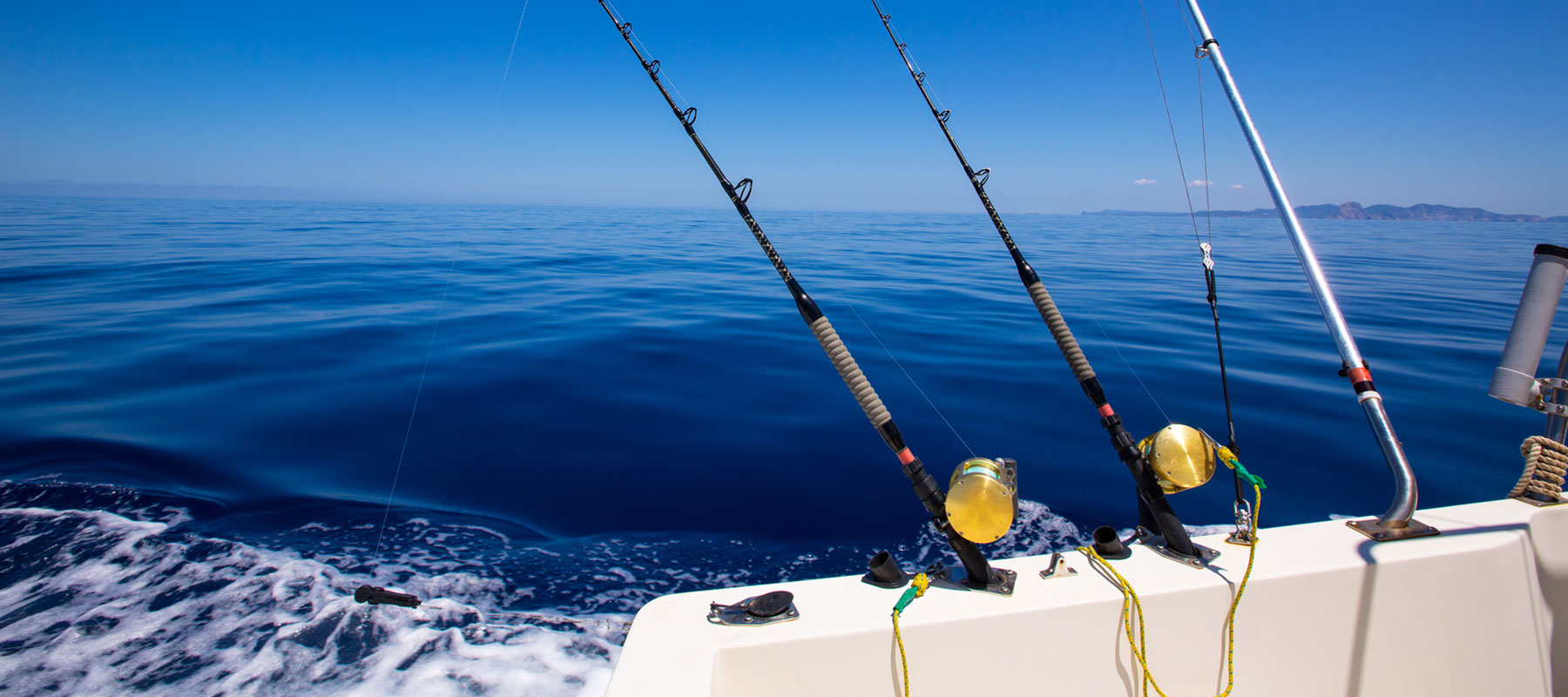 | Fishing in Paradise – DeepEnd Fishing ChartersSunshine Coast Lifestyle