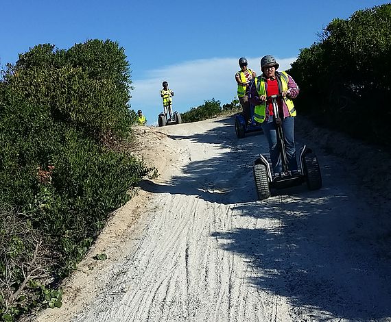 | Segway into Adventure – Segway Eco ToursSunshine Coast Lifestyle