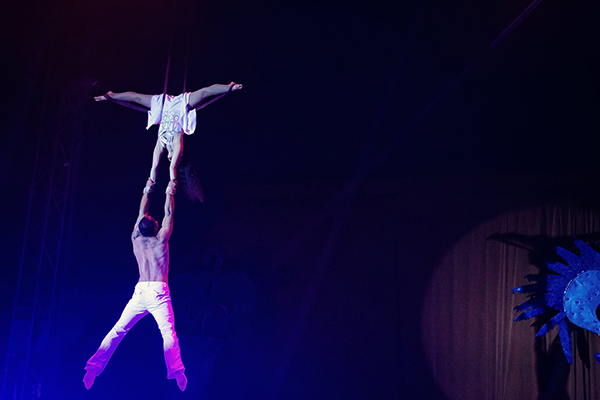 | Let Me See You Shake Your Tail Feather – Circus Rio coming to the ...